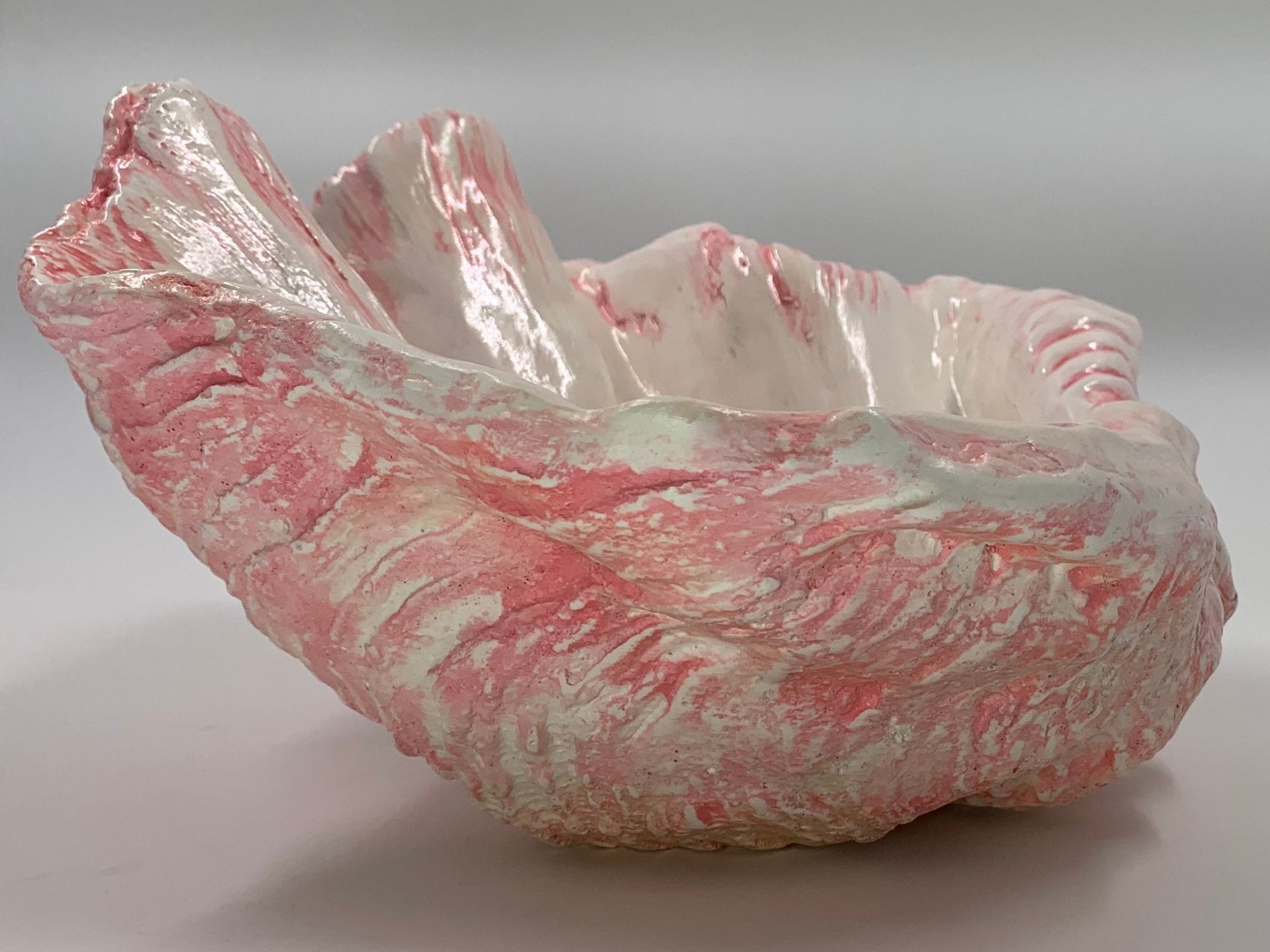 Petite Giant Clam Shell in Pink – teemorrisshells