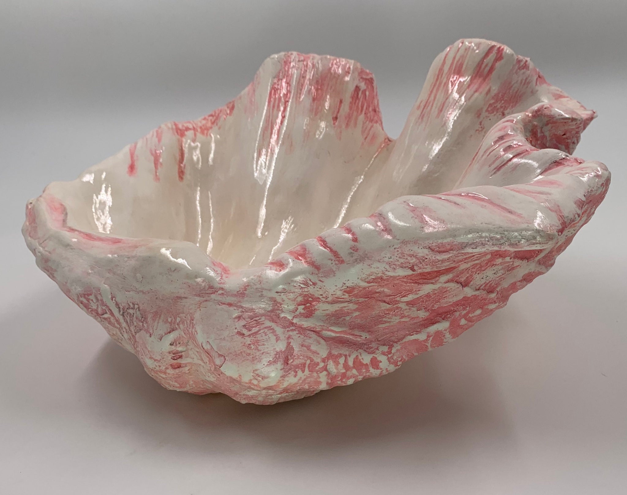 Petite Giant Clam Shell in Pink – teemorrisshells